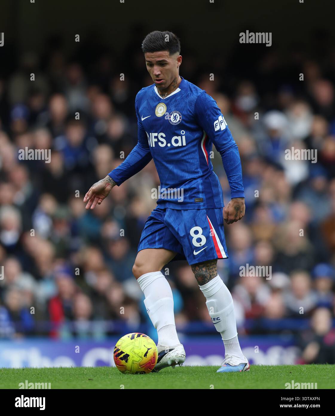 LONDON, ENGLAND, FEBRUARY 21: Enzo Fernandez of Chelsea during the ...