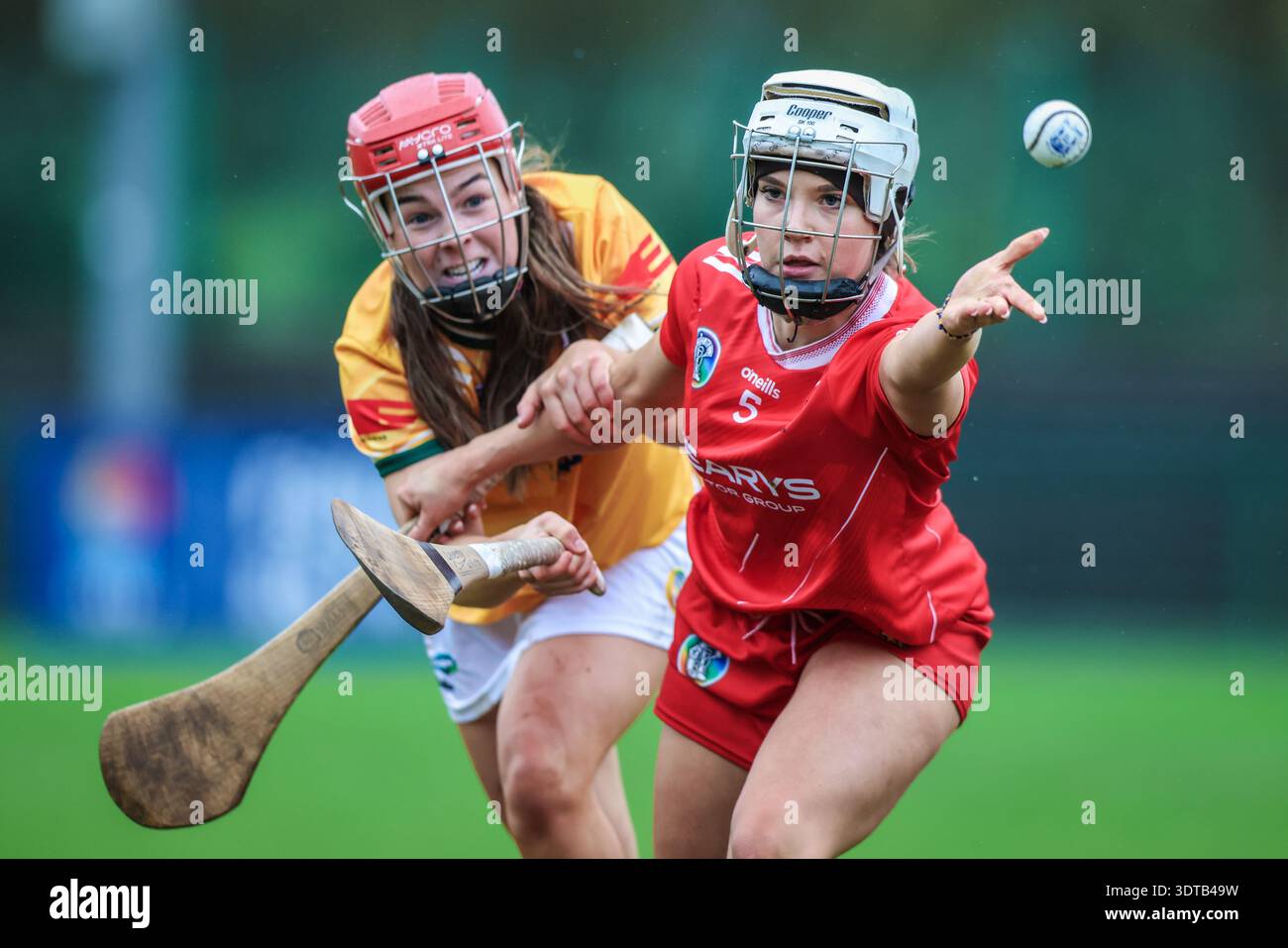 Neil molloy hi-res stock photography and images - Alamy