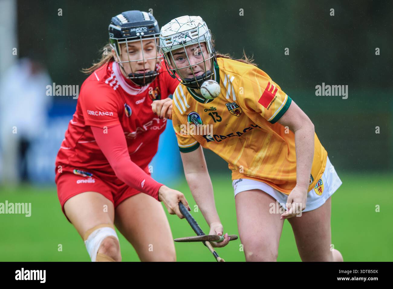 February 21, 2026, MTU, Cork, Ireland - Centra Camogie League, Division ...