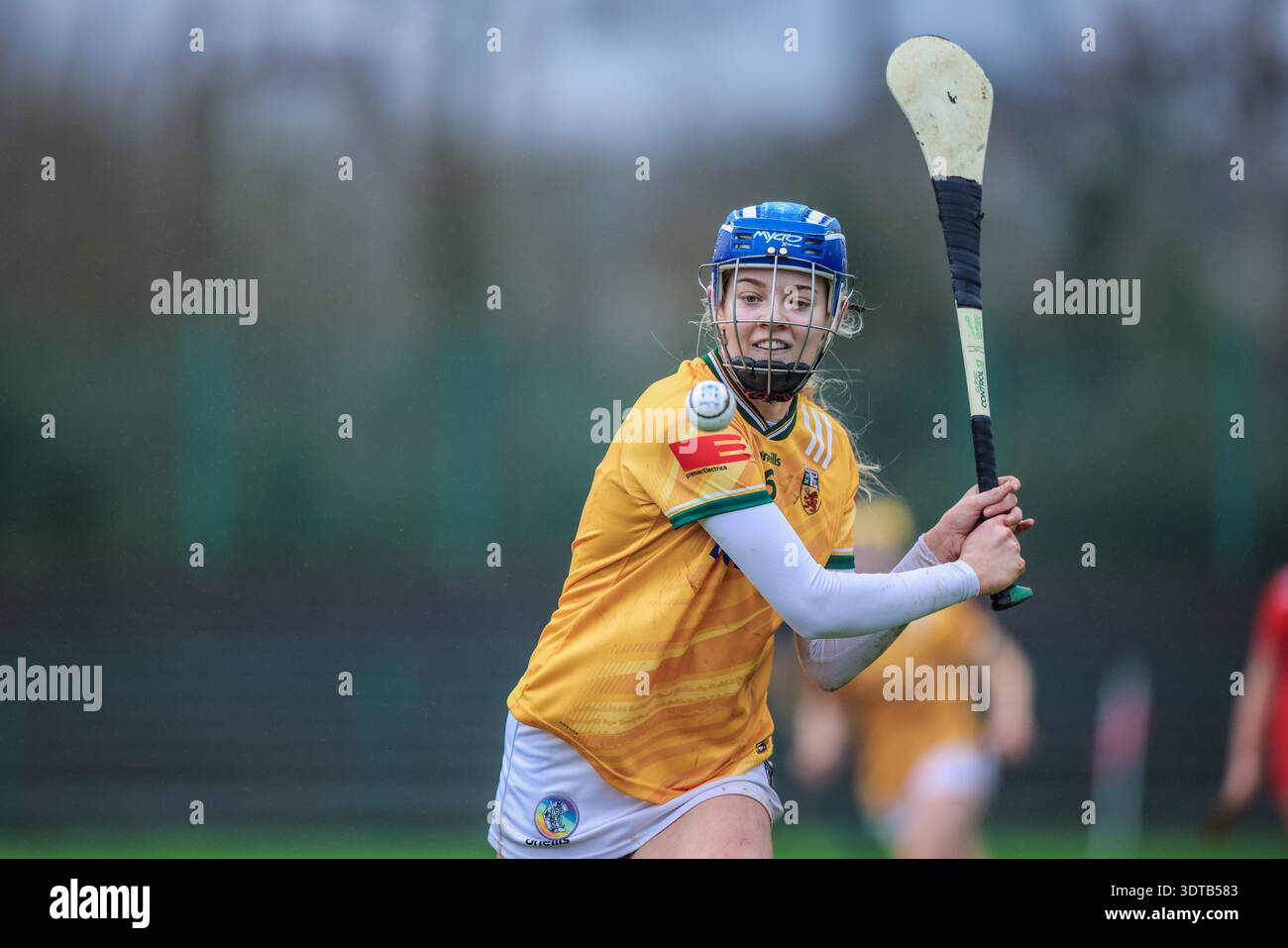 February 21, 2026, MTU, Cork, Ireland - Centra Camogie League, Division ...