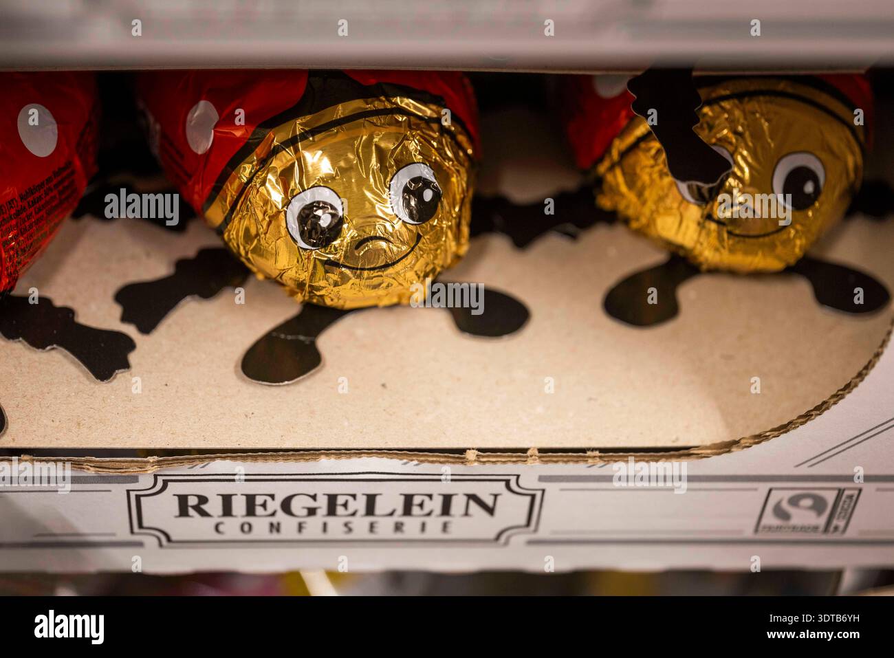Riesen-Glückskäfer 50g der Firma Riegelein Confiserie. XXL-Käfer ...