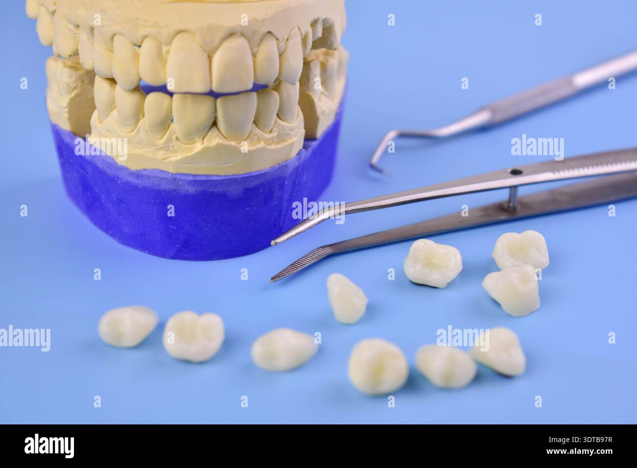 Dental plaster models in a dental clinic Stock Photo - Alamy