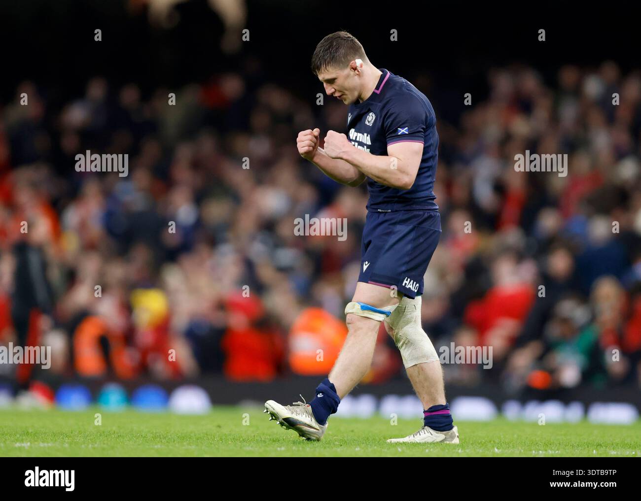 Scotland's Rory Darge celebrates at the final whistle after the ...