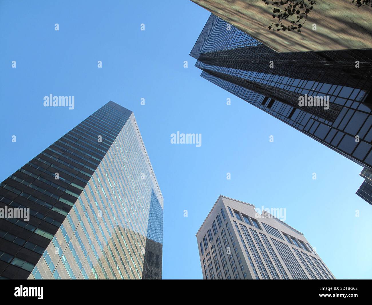 Cluster of modern towers with reflective surfaces, photographed from ...