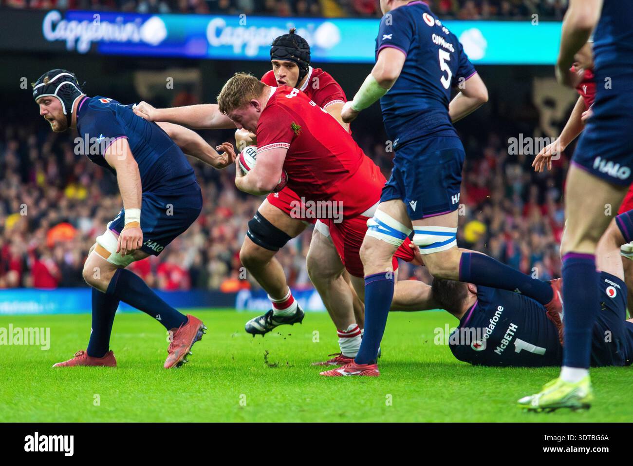 Cardiff, UK, 21st February 2026 Wales prop Rhys Carre (with ball) on ...