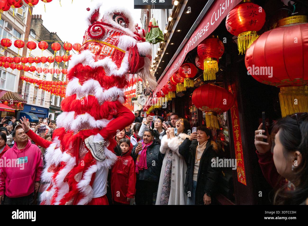 Performers in lion costume raise up to grab the hanging lettuce ...