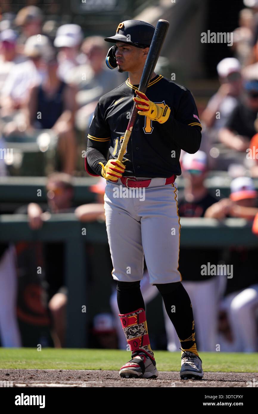 Pittsburgh Pirates' Endy Rodríguez plays during a spring training ...