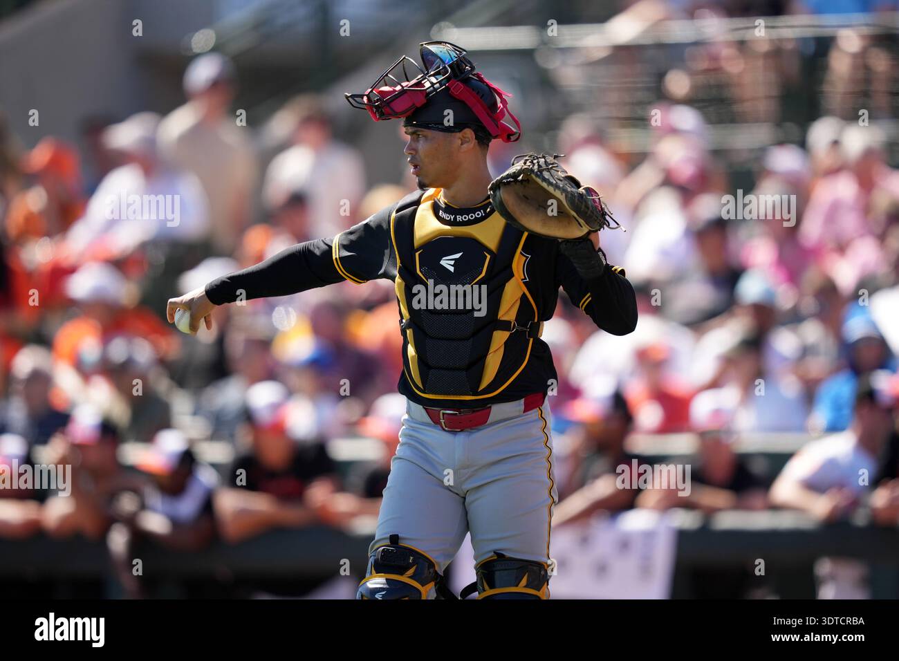 Pittsburgh Pirates' Endy Rodríguez plays during a spring training ...