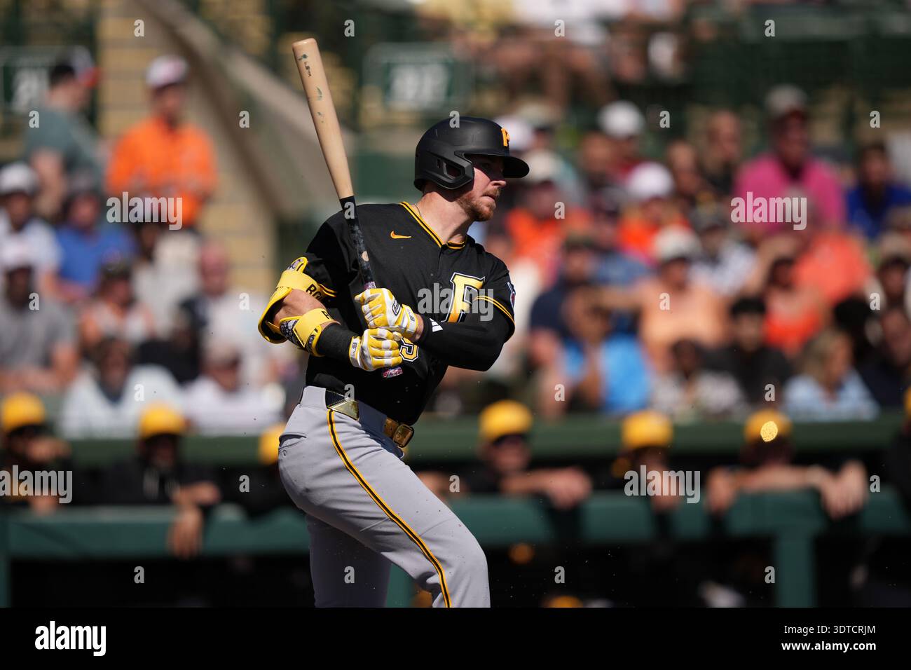Pittsburgh Pirates' Ryan O'Hearn plays during a spring training ...