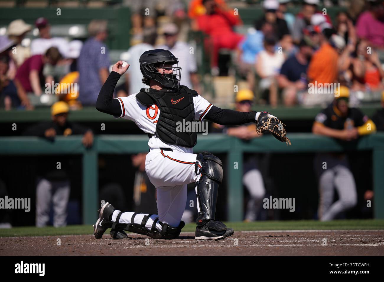 Baltimore Orioles' Adley Rutschman plays during a spring training ...