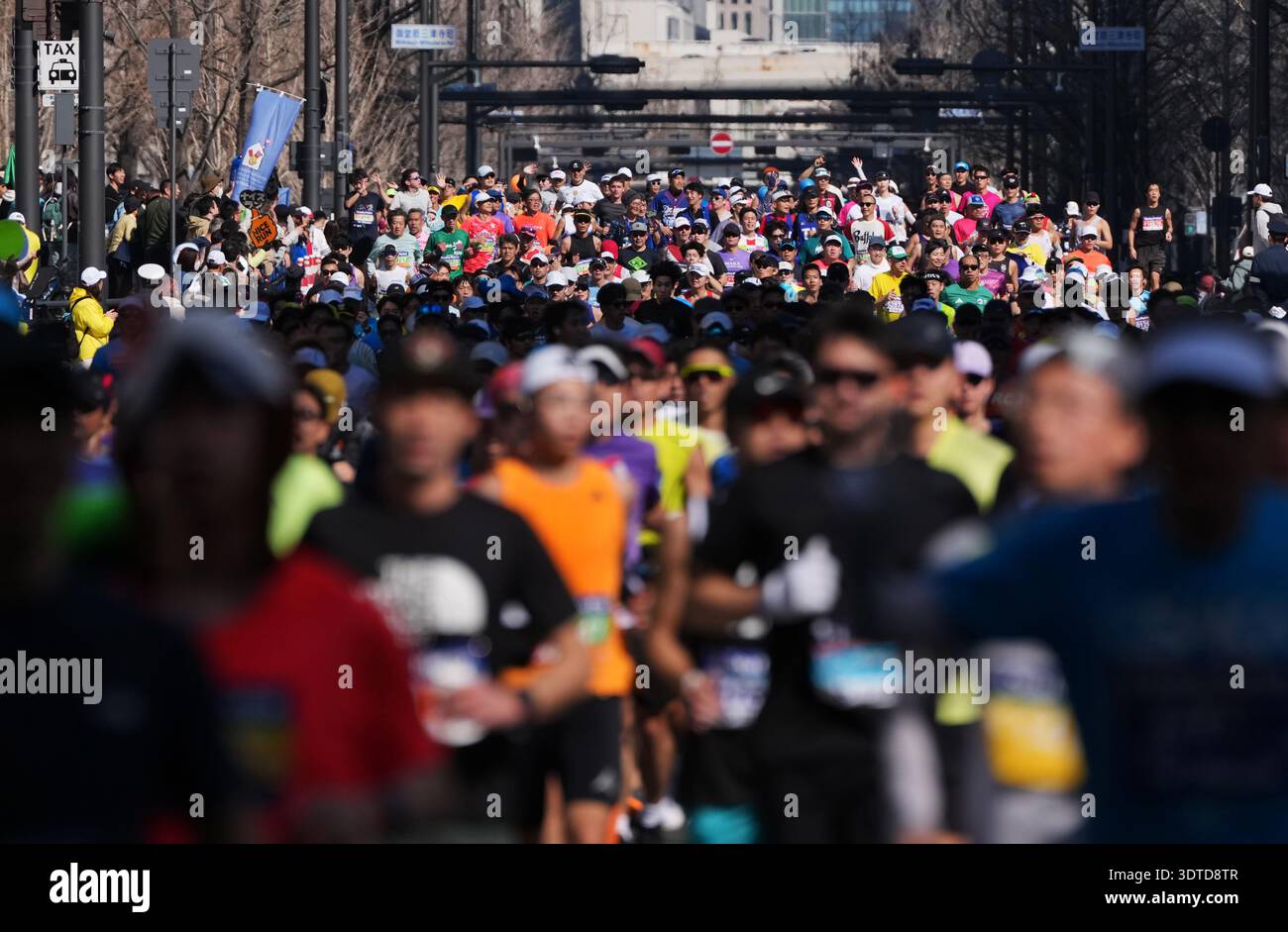 Lots of runners participate in Osaka Marathon in Osaka City, Osaka ...