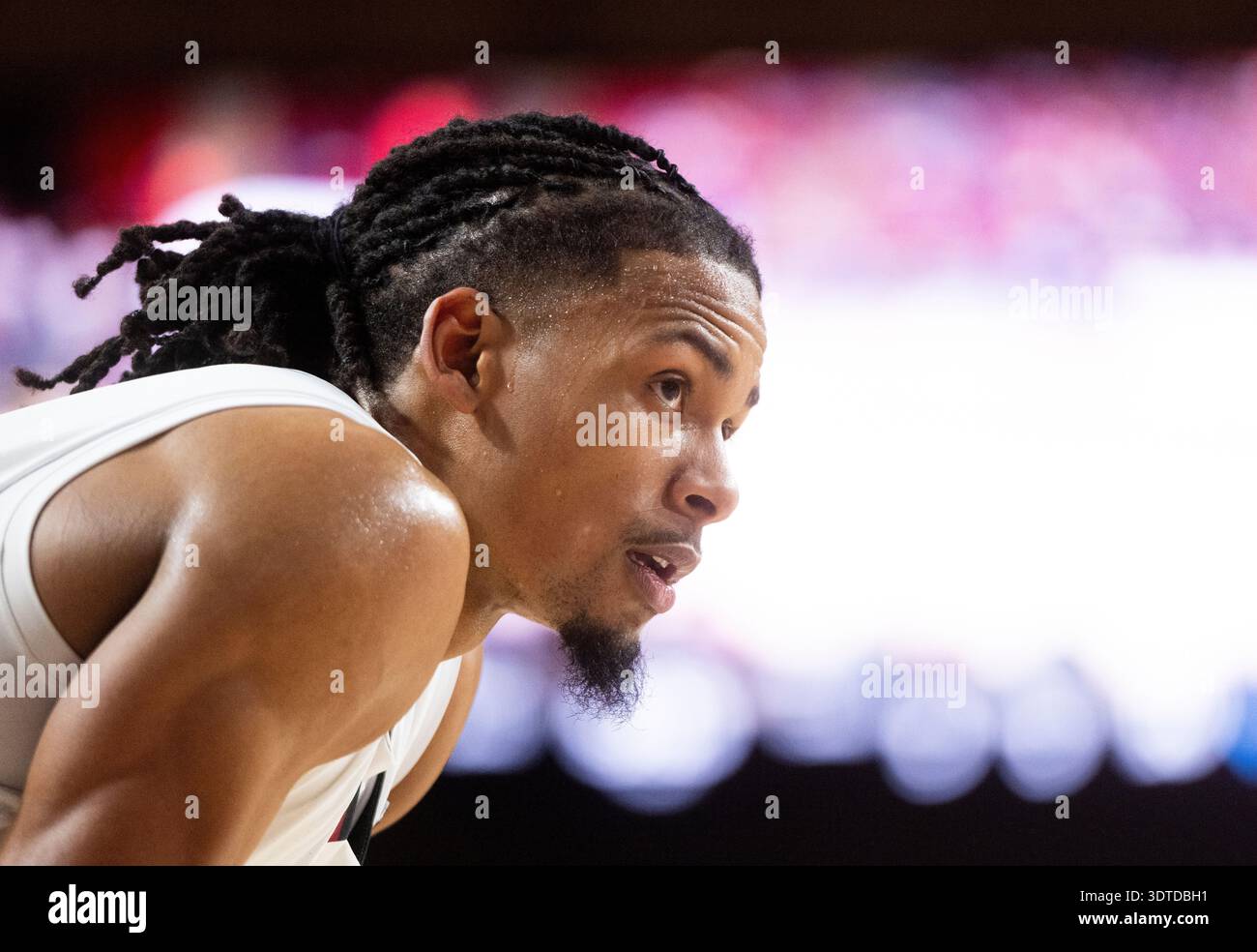 Massachusetts forward Daniel Hankins-Sanford waits for play to resume ...