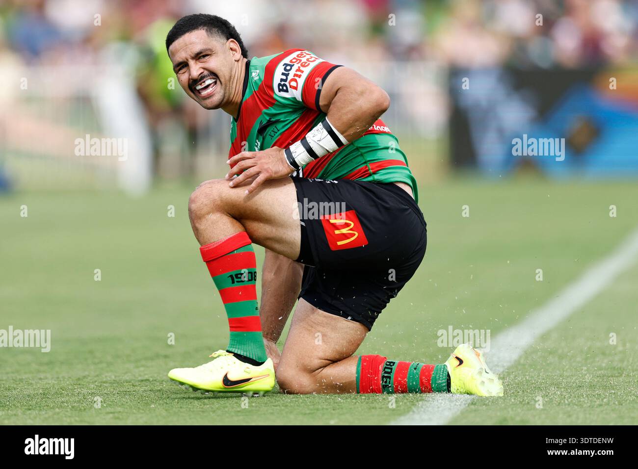 Cody Walker of the Rabbitohs scores a try during the NRL Pre Season ...