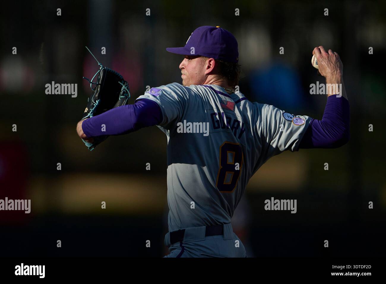 LSU Tigers pitcher Gavin Guidry (8) delivers a pitch during an NCAA ...