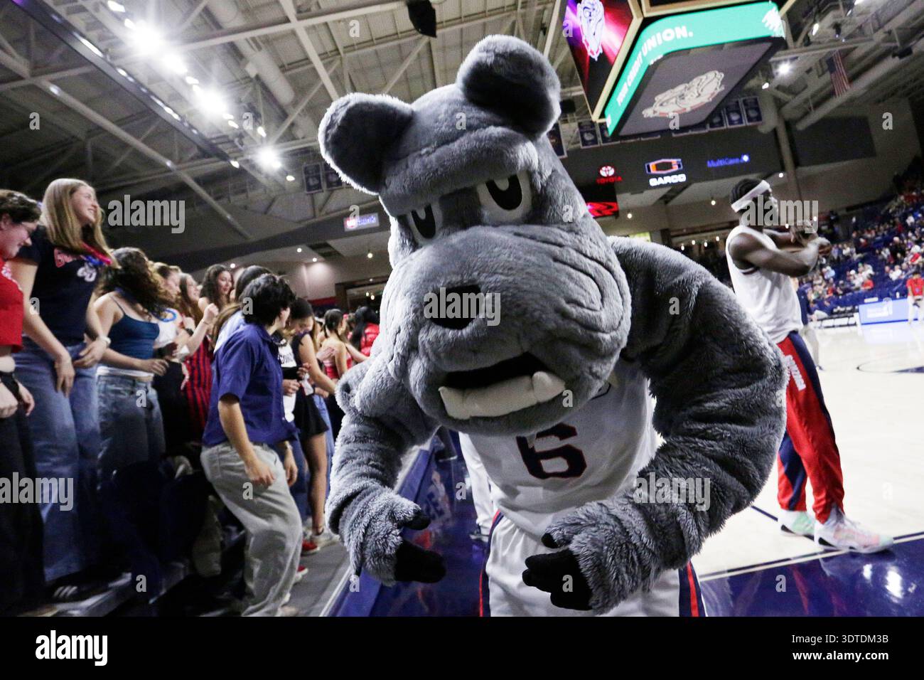 Gonzaga mascot Spike the Bulldog gestures before an NCAA college ...