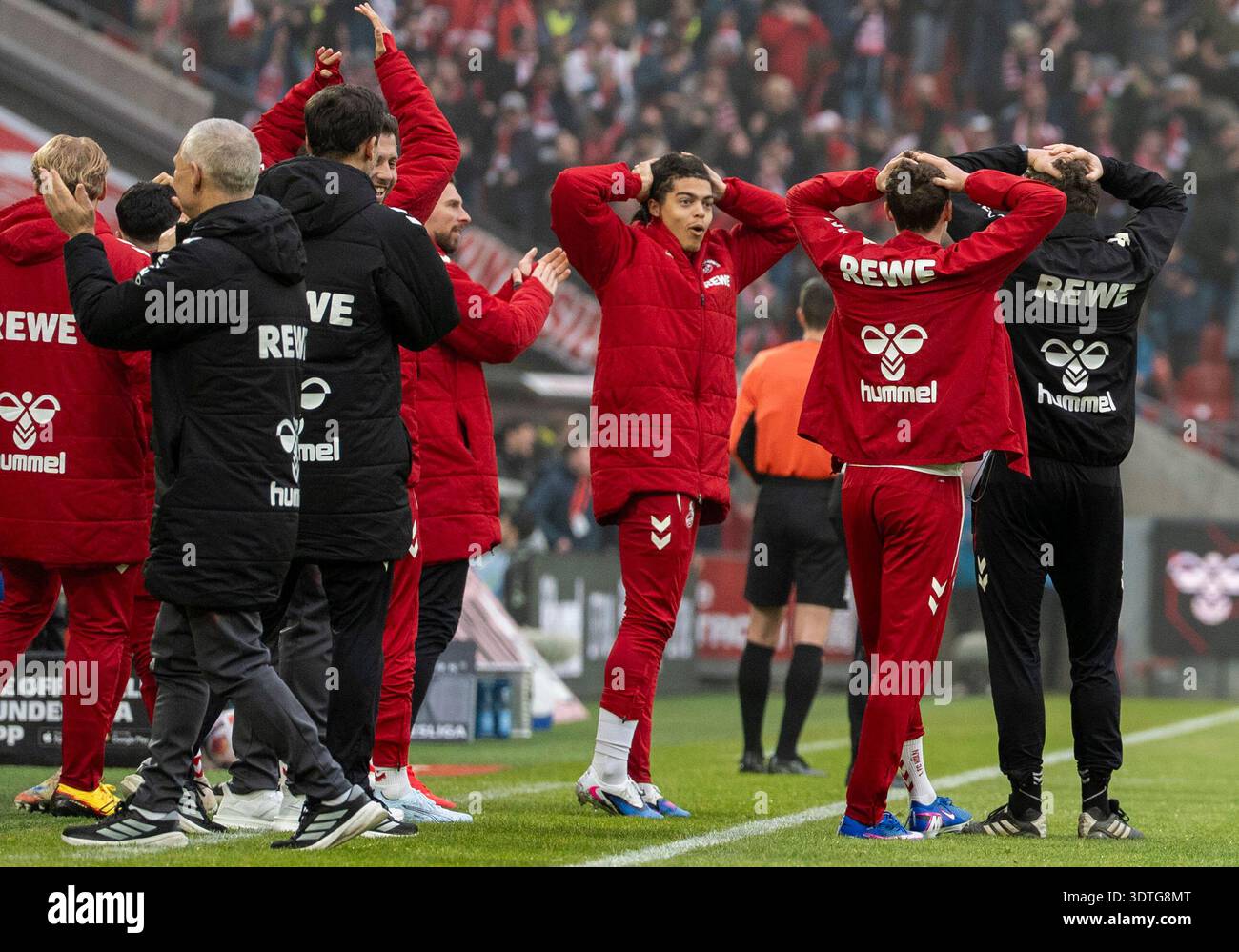 Die Bank jubelt über das Tor von Ragnar Ache (1. FC Koeln, #9) zum 1-0 ...