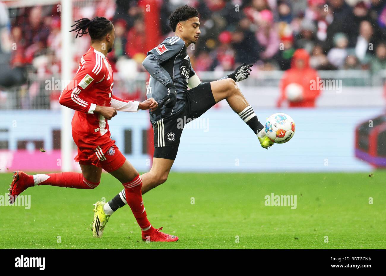 München , Germany. 21th February 2026 . Olise and Brown Nathaniel fight ...