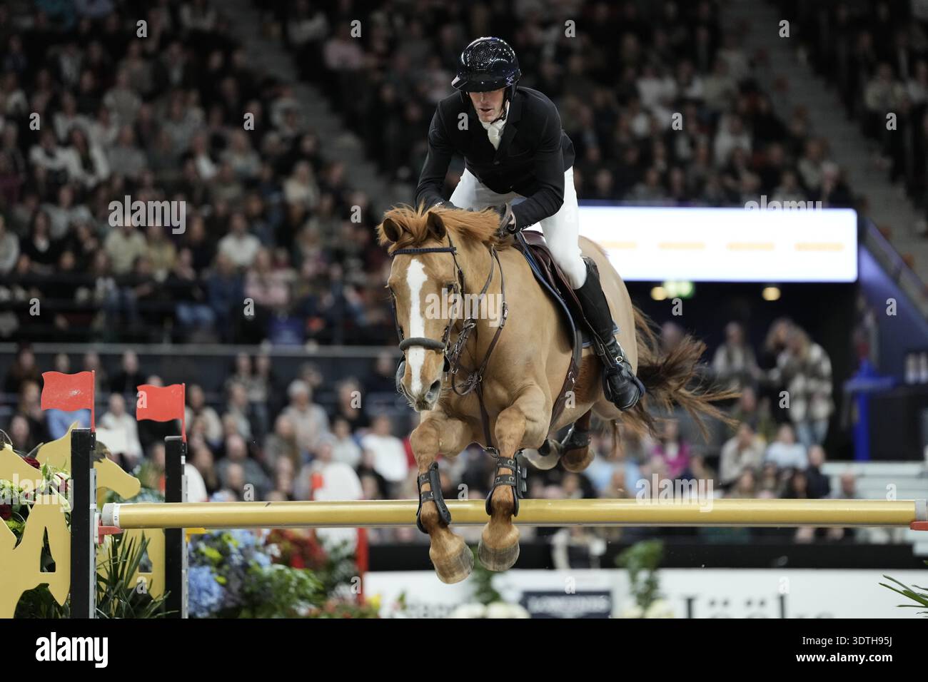 GOTHENBURG, SWEDEN 20260222during the World Cup show jumping at the ...
