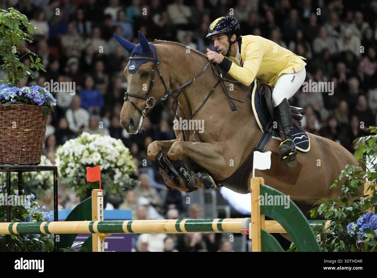 GOTHENBURG, SWEDEN 20260222Yuri Mansur, Brazil, on the horse Elano de ...