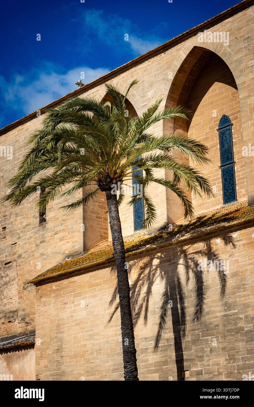 Alcudia , 190226 , Reise Mallorca Spanien , Römische Ruinen von ...