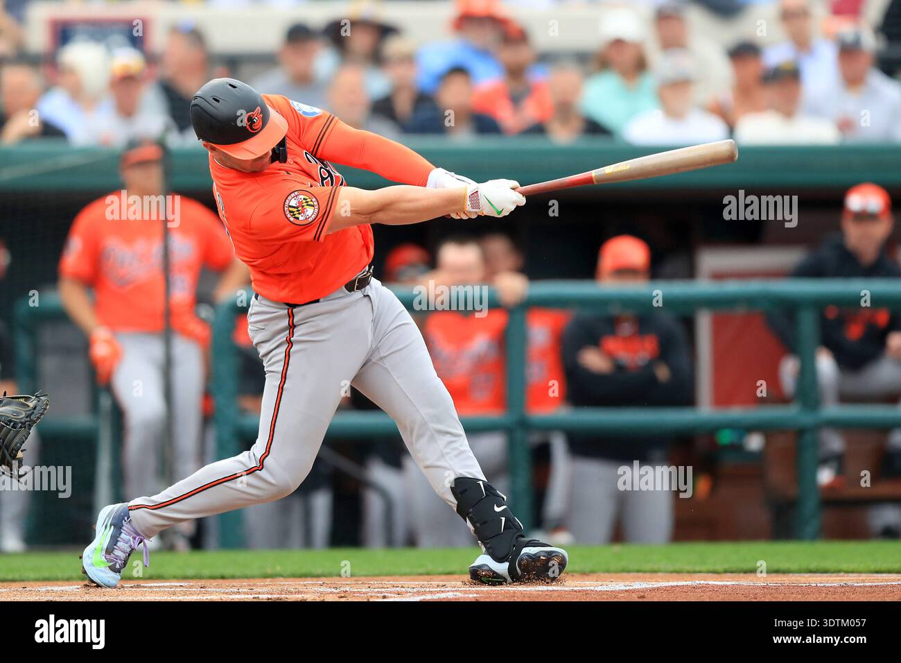 LAKELAND, FL - FEBRUARY 22: Baltimore Orioles Infielder Pete Alonso (25 ...