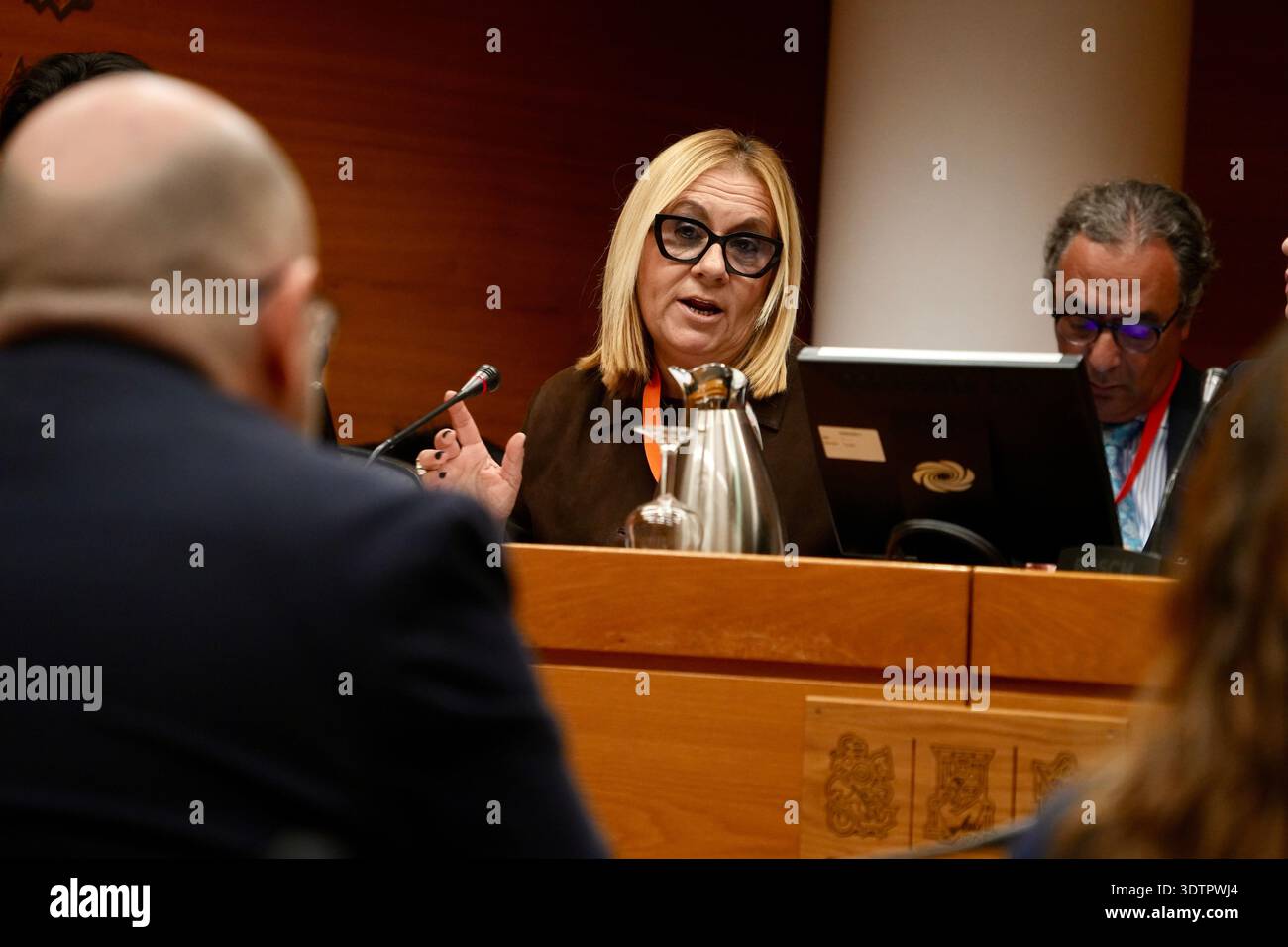 The representative of Liberum, Concepción Cuevas, during the commission ...
