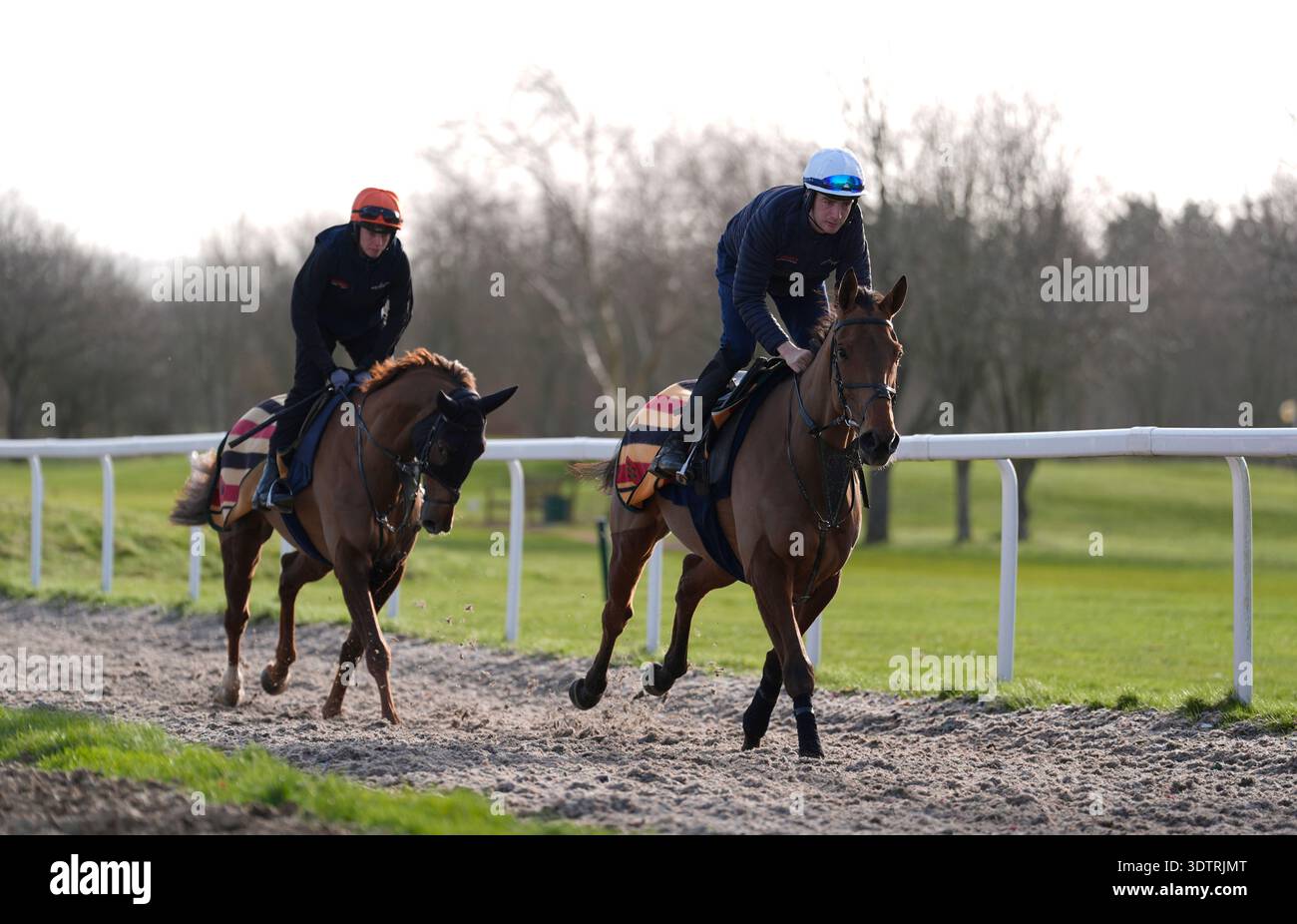 Meetmebythesea (right) and No Questions Asked are ridden along the ...