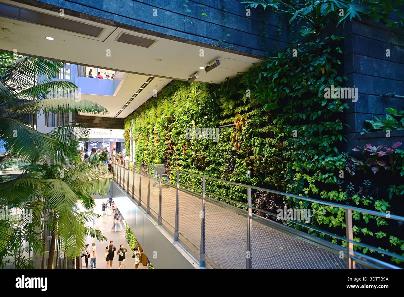 Singapore, 19 Feb 2026: Lush indoor vertical garden walkway inside ...