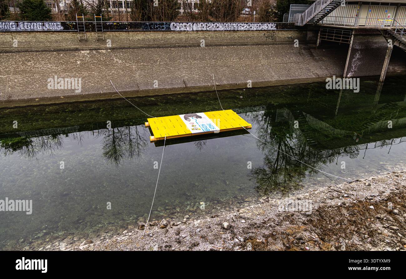 Zürich, Switzerland, 31st Jan 2026: The Platzspitz weir is currently ...