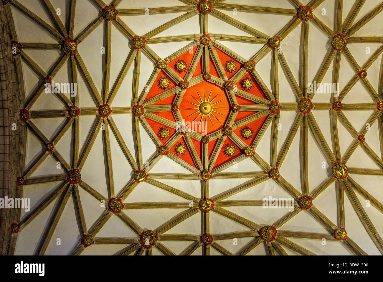Vaulted ceiling with decorated Gothic stule and Yorkist sun emblem ...