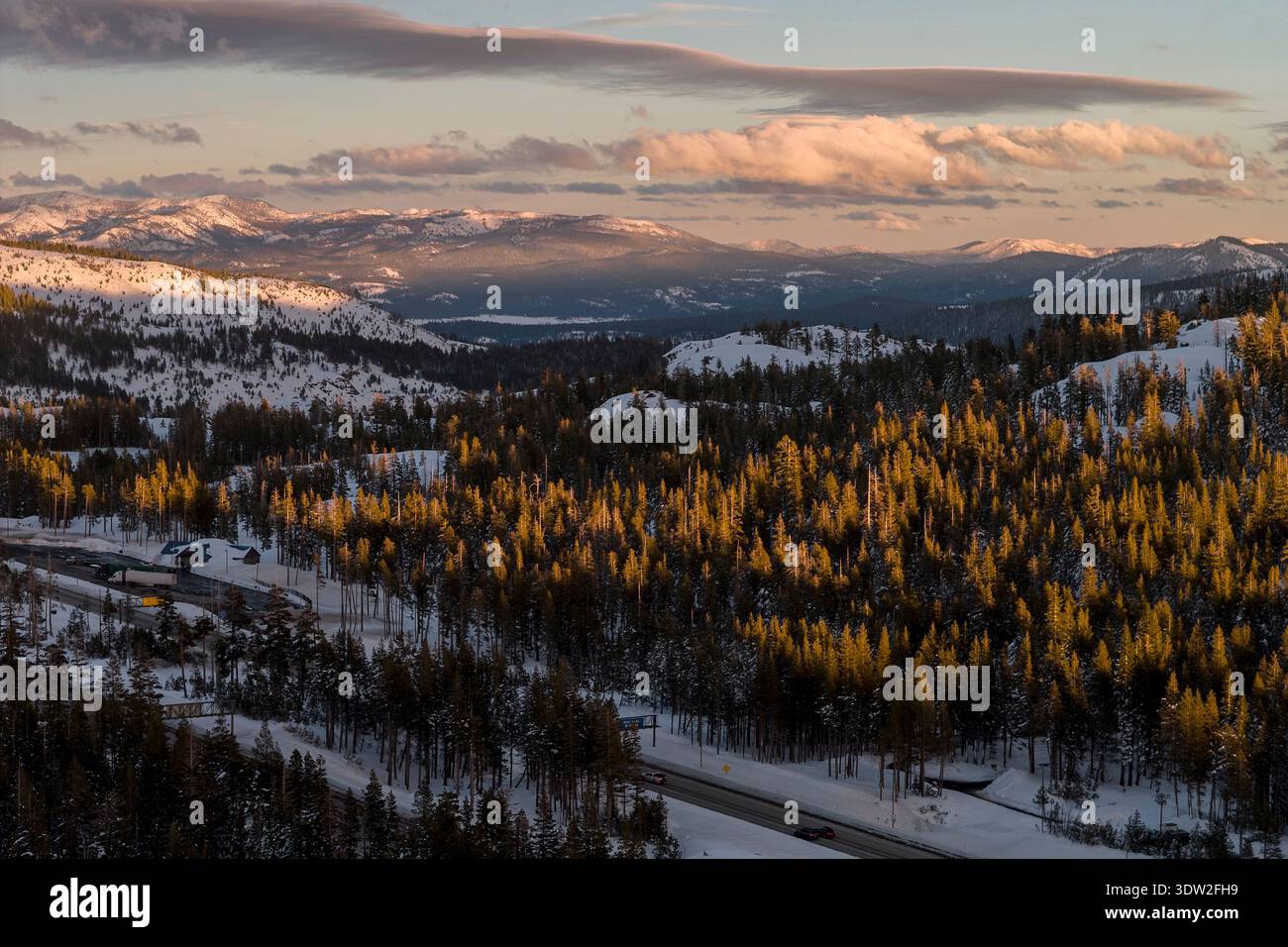 A cluster of trees are illuminated by a fading sunset near Soda Springs ...