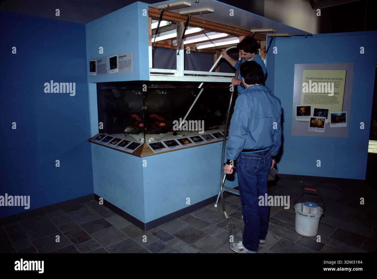 Monterey, CA. U.S.A. 8/1986. Monterey Bay Aquarium. Founded by David ...