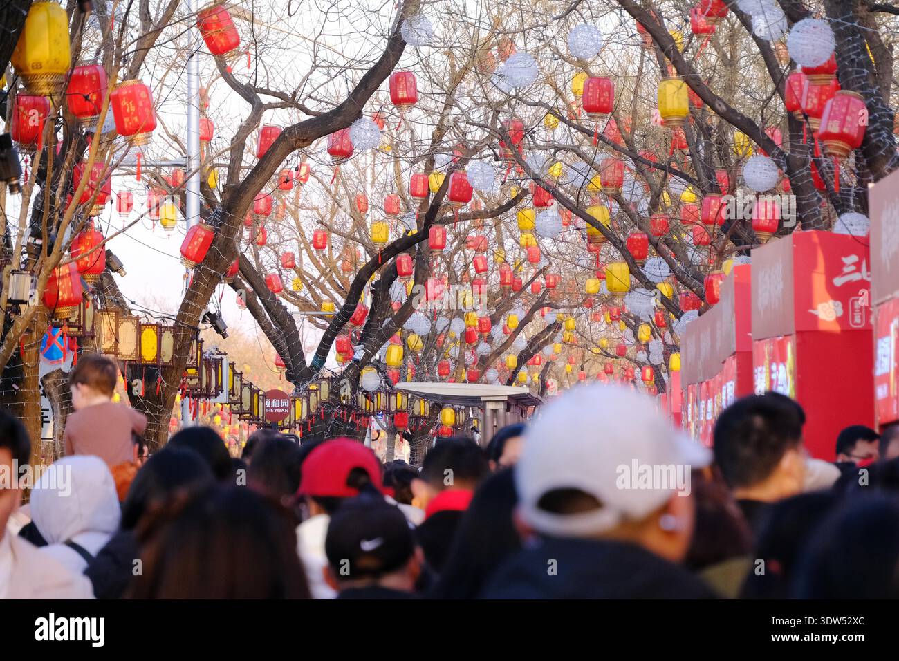 Visitors enjoy festive lanterns on Tongqing Street at the East Palace ...