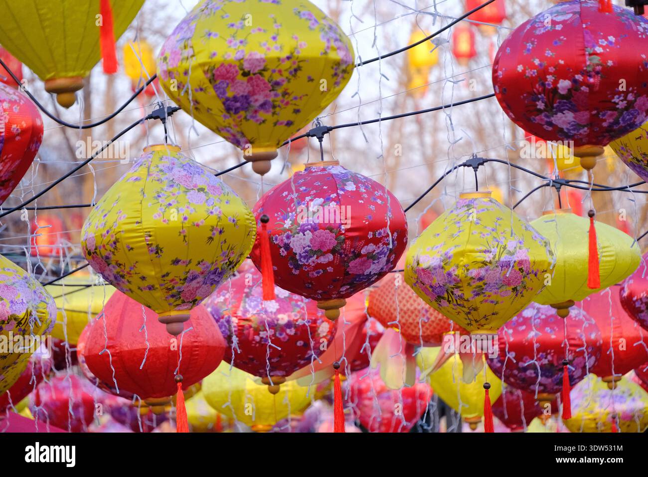 Visitors enjoy festive lanterns on Tongqing Street at the East Palace ...