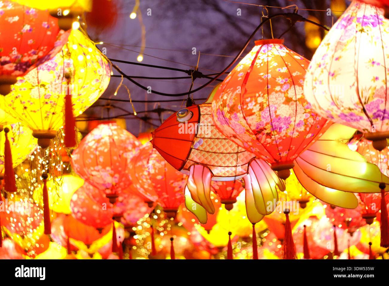 Visitors enjoy festive lanterns on Tongqing Street at the East Palace ...
