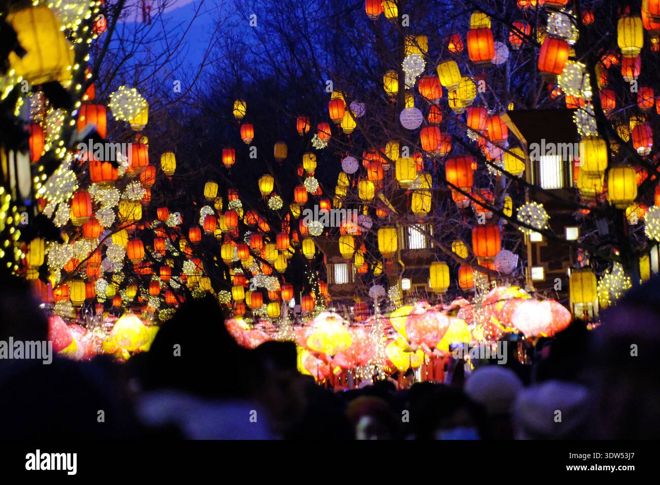 Visitors enjoy festive lanterns on Tongqing Street at the East Palace ...