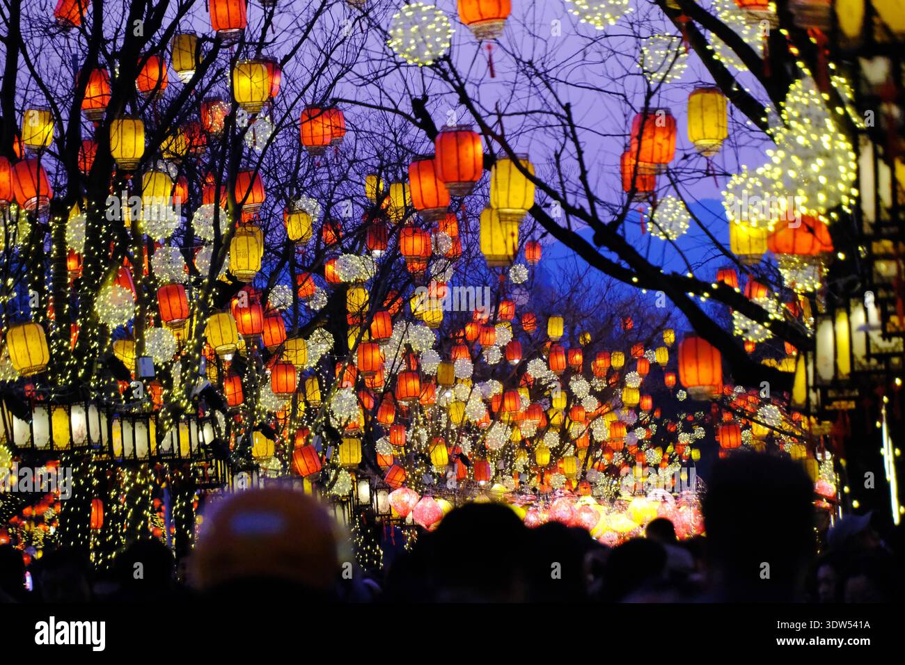 Visitors enjoy festive lanterns on Tongqing Street at the East Palace ...