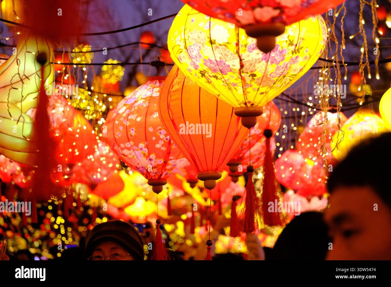 Visitors enjoy festive lanterns on Tongqing Street at the East Palace ...