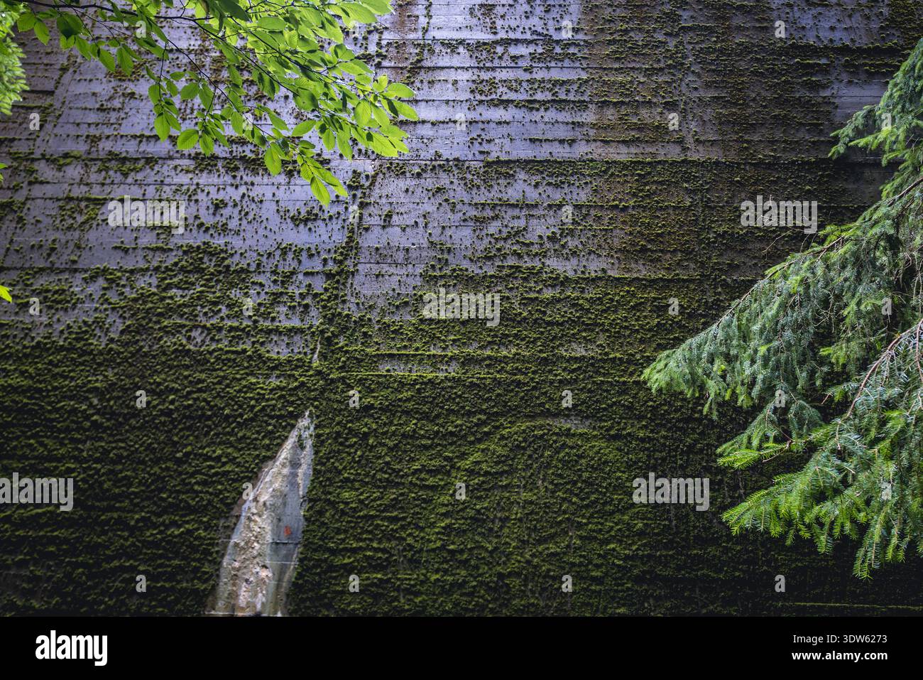 Military bunker in Mamerki (German: Mauerwald) bunker complex - former ...