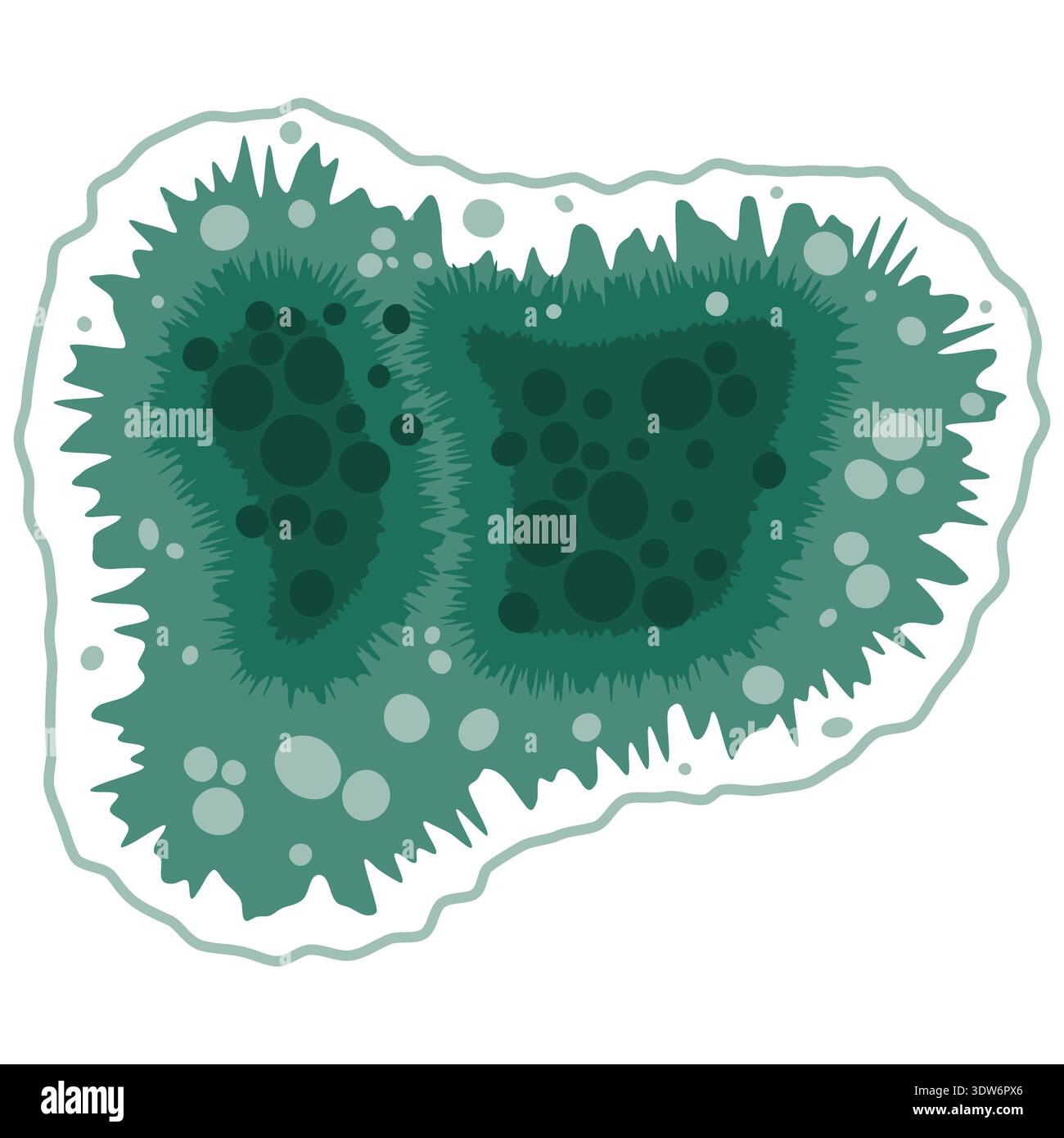 Green mold microscope Stock Vector Images - Alamy