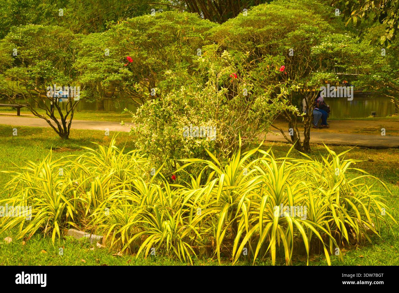 Sri Lanka, Colombo, Vihara Maha Devi Park Stock Photo - Alamy
