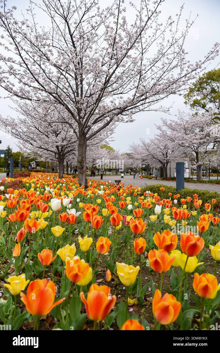 Japanese public park vertical shot hi-res stock photography and images ...