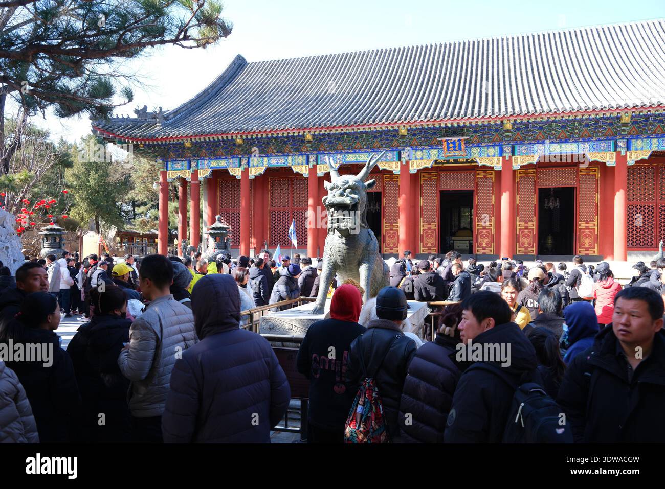 Tourists visit Tongqing Street in Beijing, China, 23 February, 2026 ...