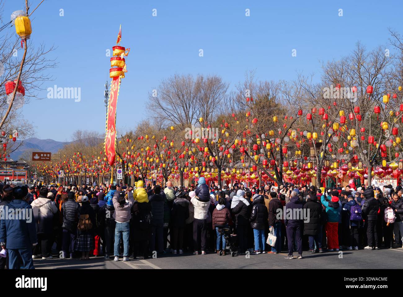 Tourists visit Tongqing Street in Beijing, China, 23 February, 2026 ...