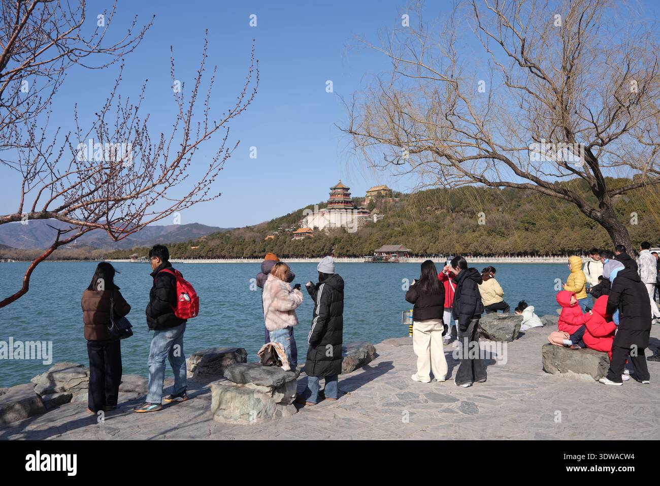 Tourists visit Tongqing Street in Beijing, China, 23 February, 2026 ...