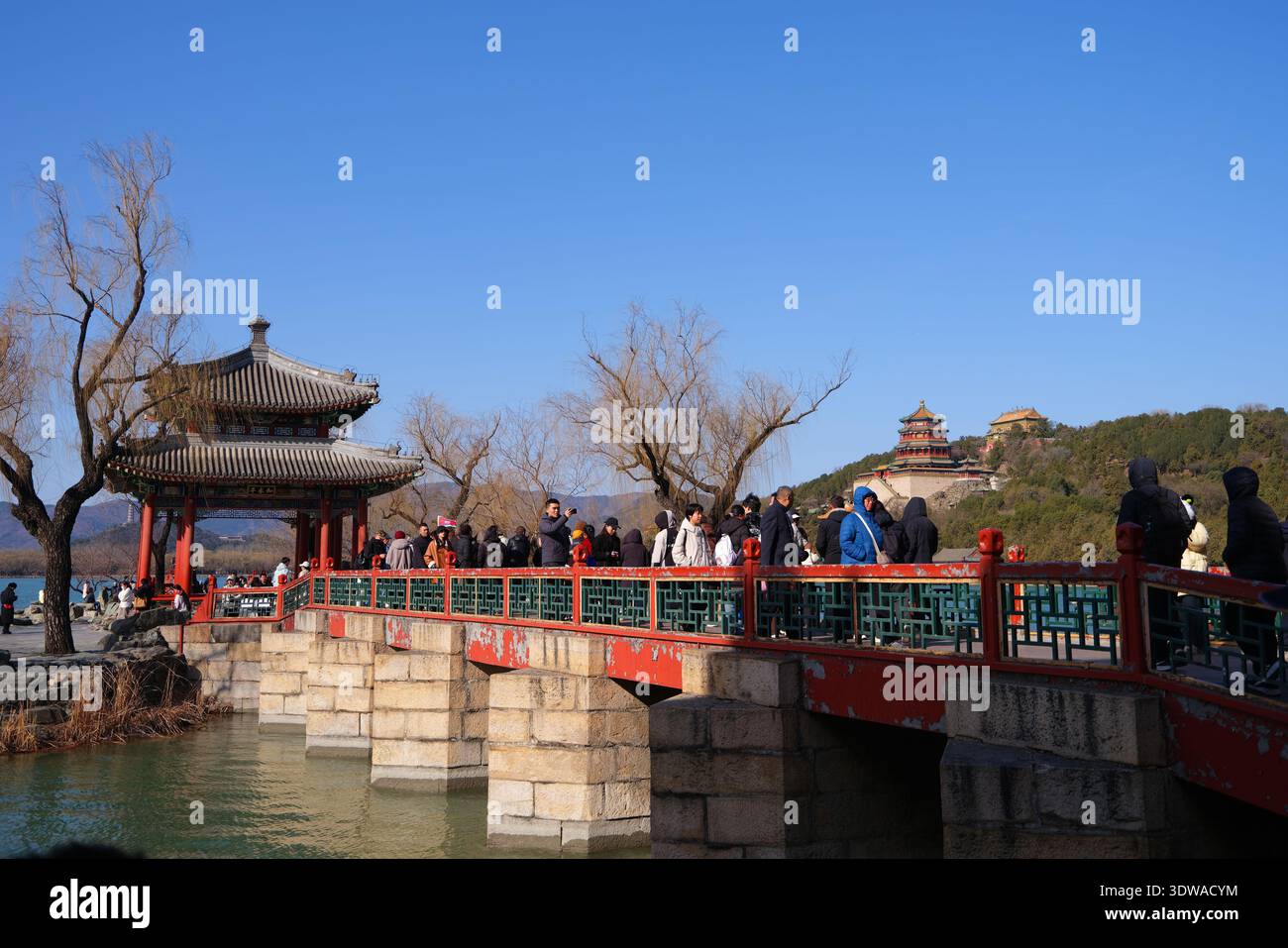Tourists visit Tongqing Street in Beijing, China, 23 February, 2026 ...