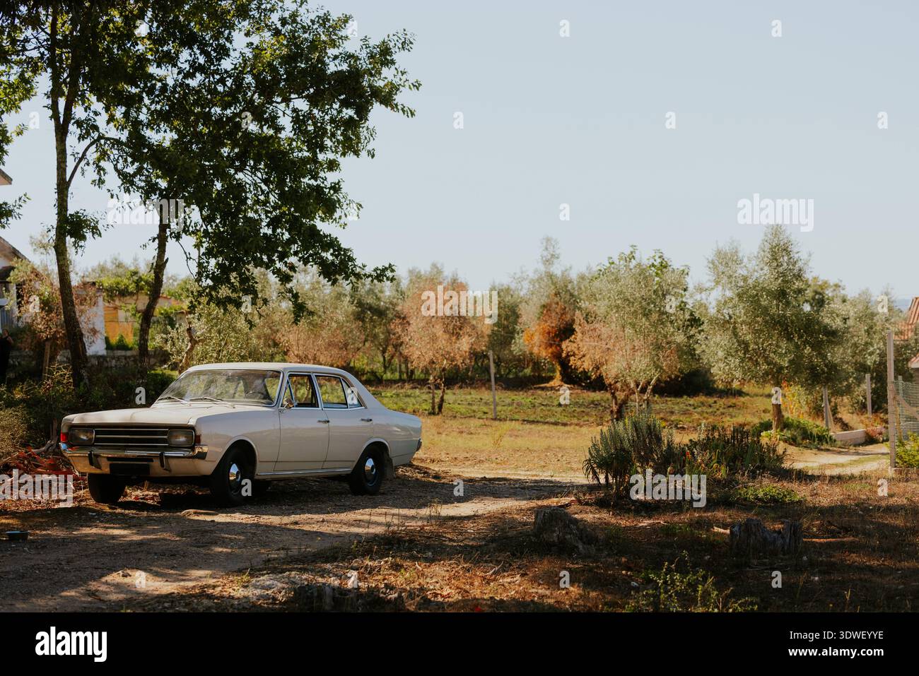 Shady road in countryside hi-res stock photography and images - Alamy