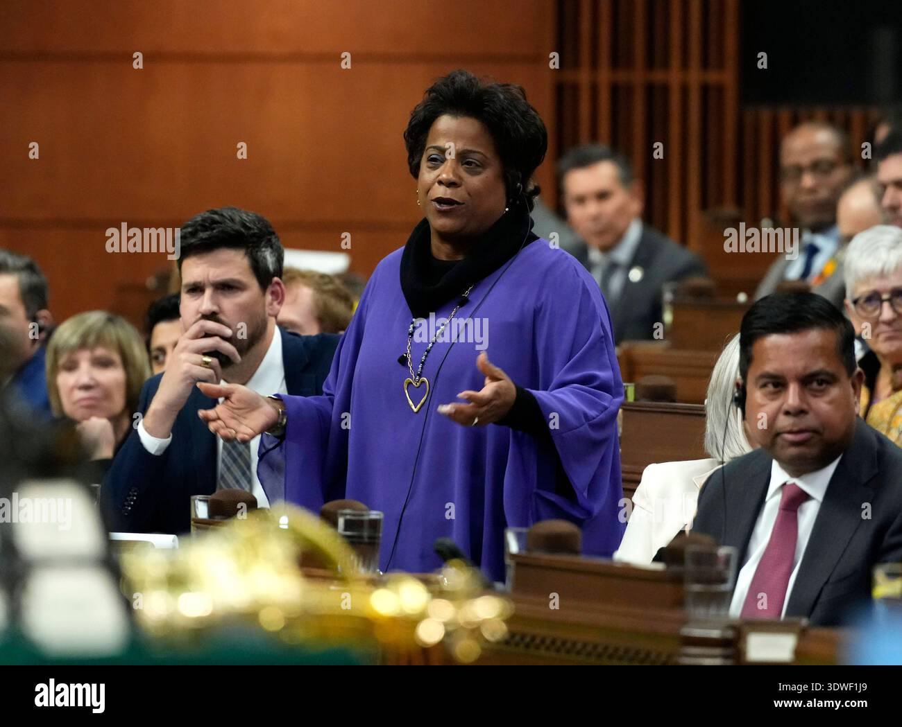 Minister of Health Marjorie Michel rises during question period in the ...