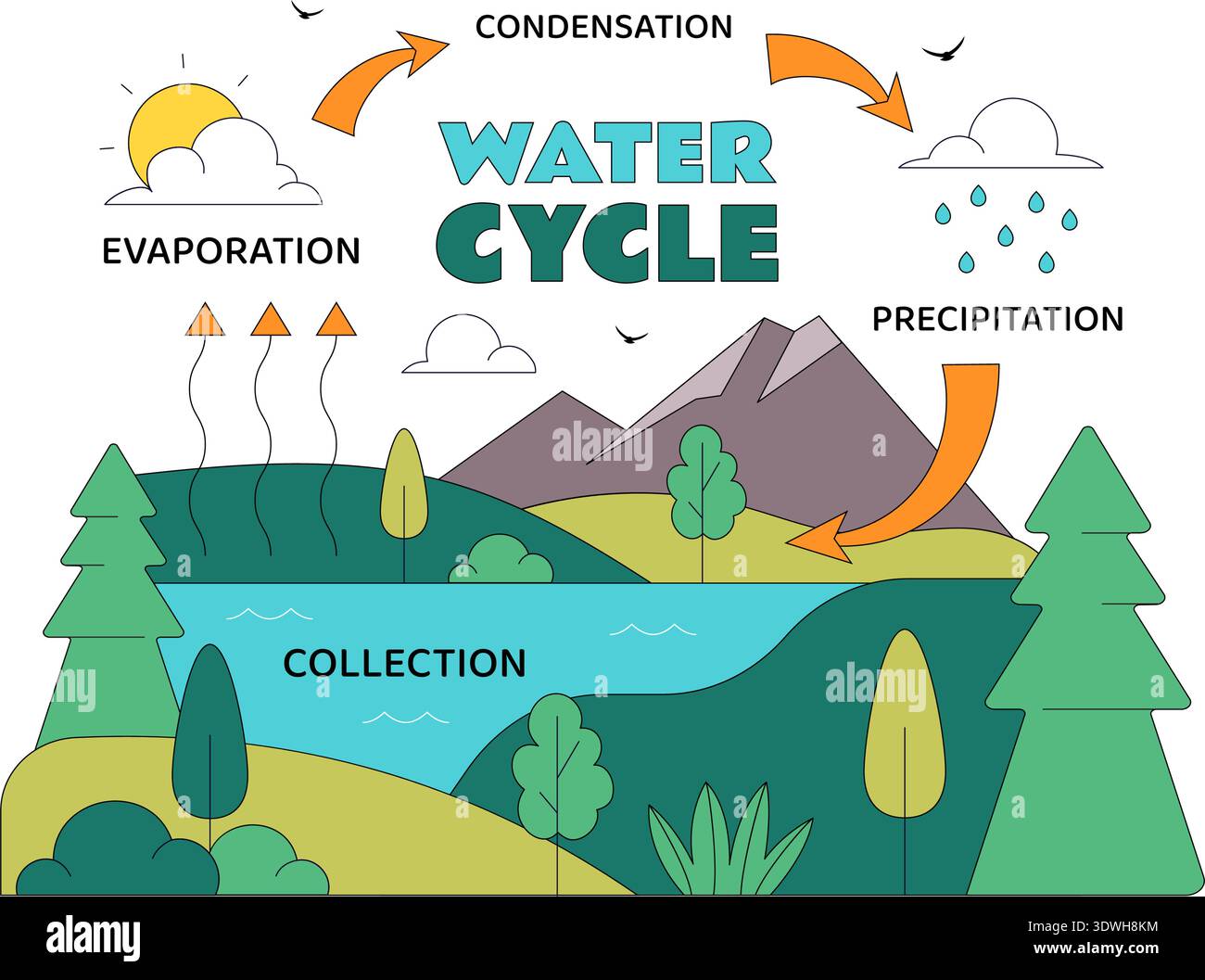 Water Cycle Vector Illustration Featuring Evaporation, Condensation ...