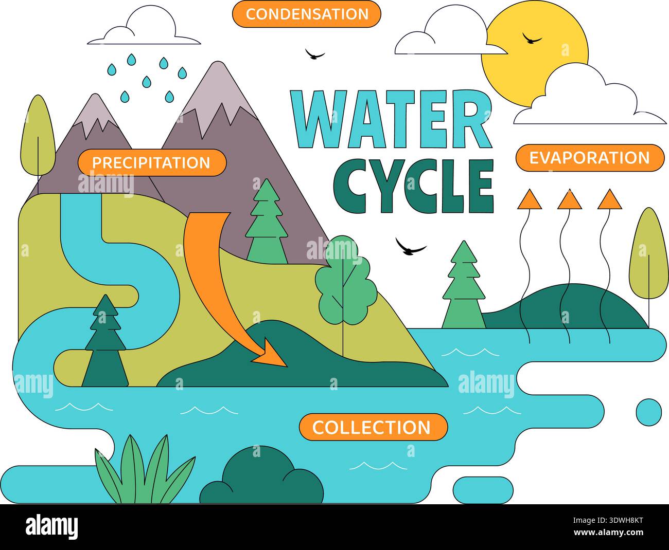 Water Cycle Vector Illustration Featuring Evaporation, Condensation ...